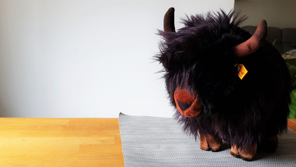 Yak Shaving – Have you already done it? – Shemon Consulting